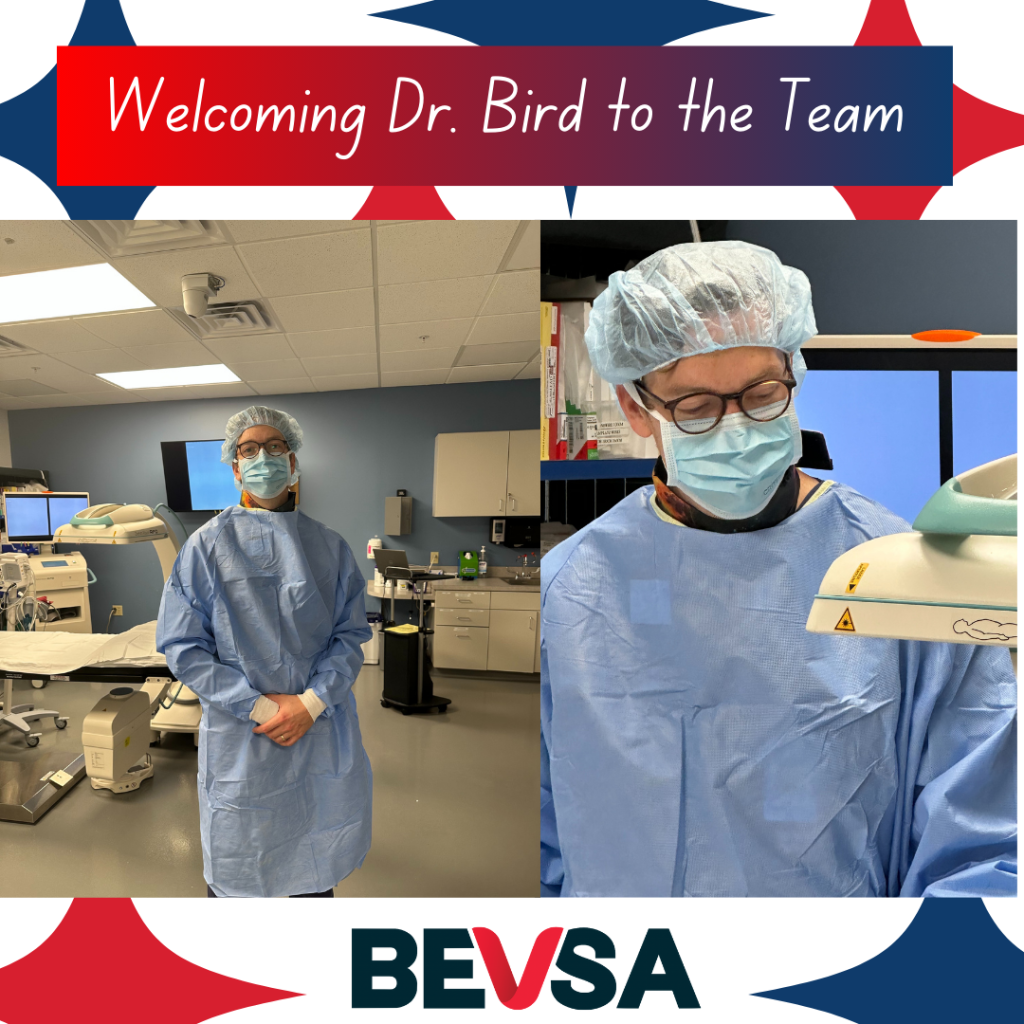 Welcoming Dr. Bird to the team - BEVSA - Buffalo Endovascular ...